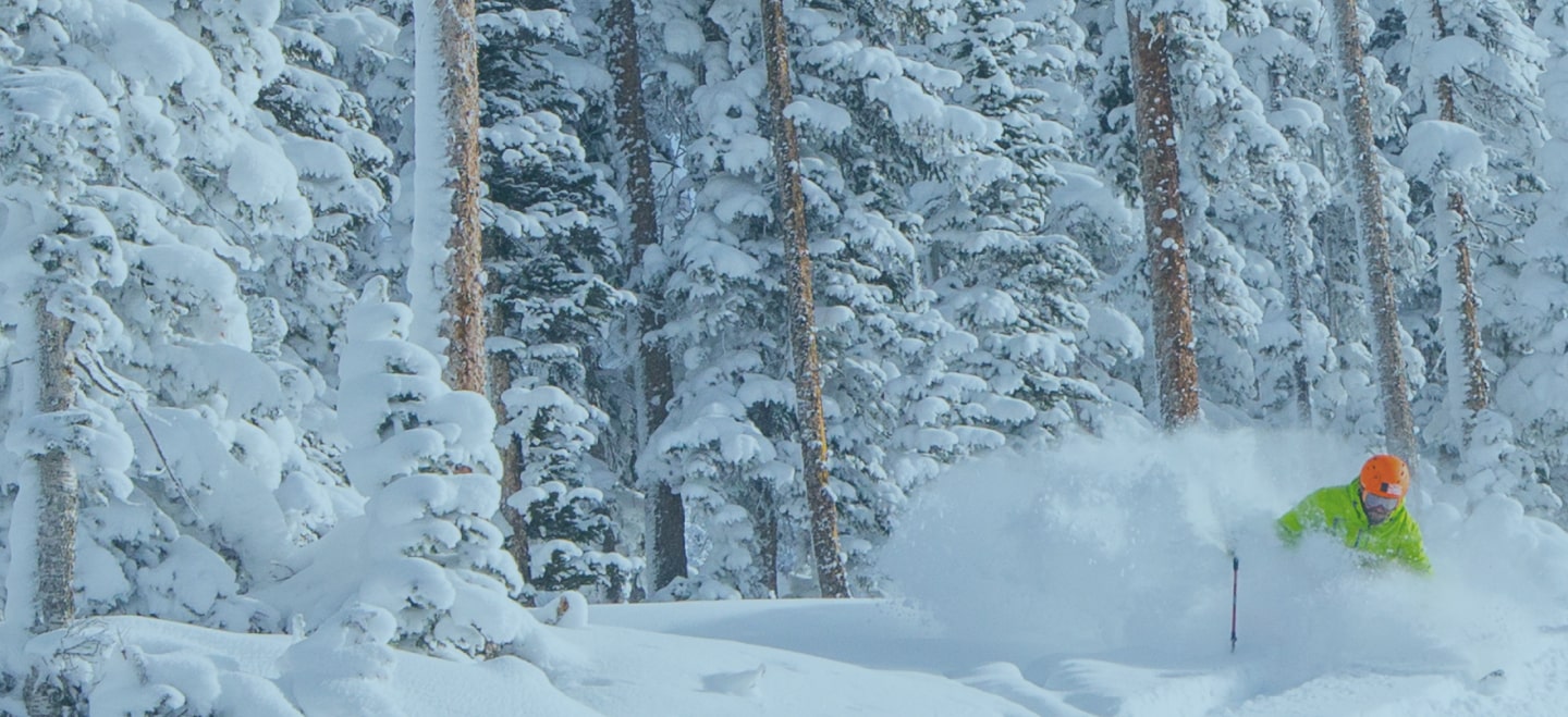 Skiinfo - n°1 sur le ski: 2 200 stations de ski (enneigement, webcams...)